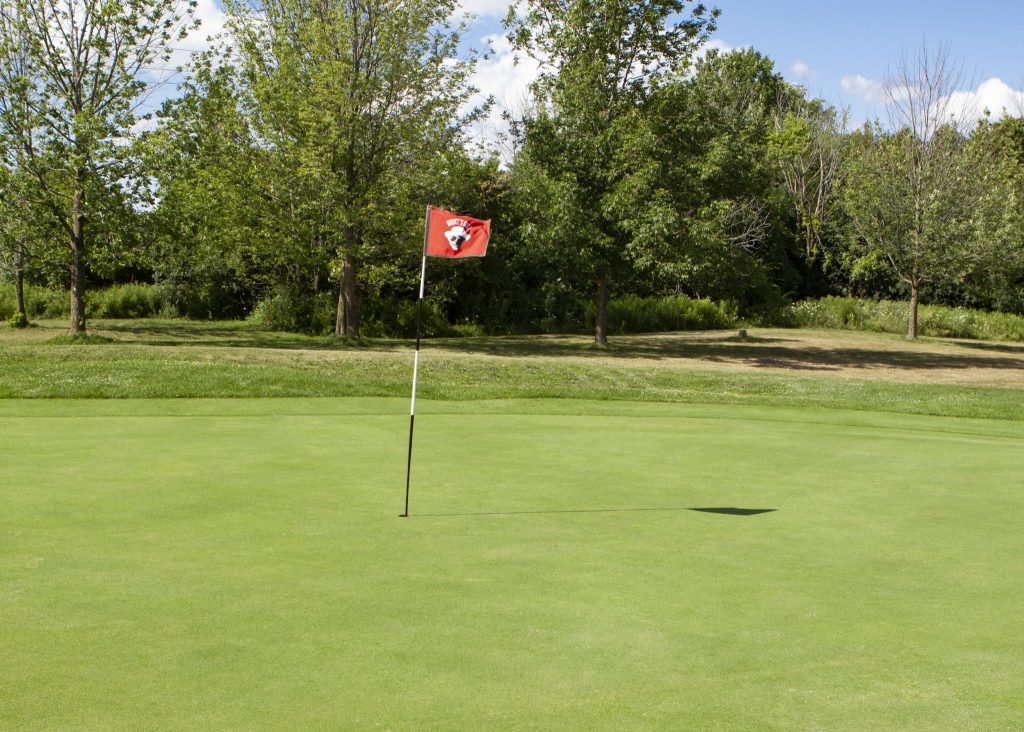 Lakeridge Links & Whispering Ridge – Bruce's Golf Rewards